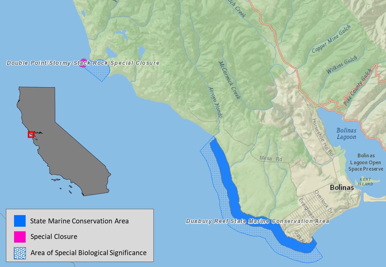 Boaters - Seabird Protection Network